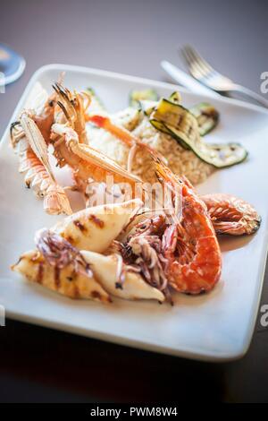 seafood gamba shrimp langostino prawn langoustine cigala scampi dublin ...