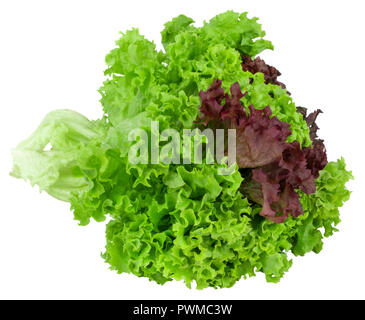 Collage of fresh romaine lettuce on color background, top view Stock ...