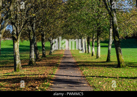 Eglinton Park Irvine North Ayrshire. Public park in Autumn with ...
