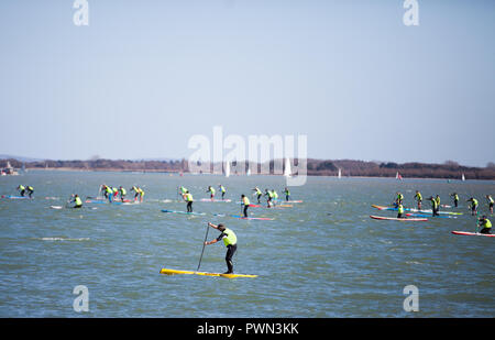 Start of paddle board race Stock Photo - Alamy