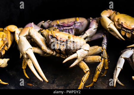 Chatham Bay, Union Island Stock Photo: 84388430 - Alamy
