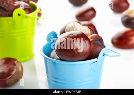 Colorful buckets with chestnuts and peeled horse-chestnuts on white ...