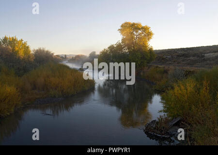 Willow trees and bushes glint with gold at sunrise over the Malheur ...