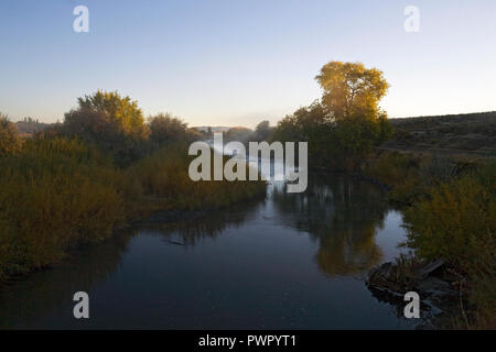 Willow trees and bushes glint with gold at sunrise over the Malheur ...