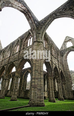 Tintern Abbey, a ruin alongside the River Wye Stock Photo - Alamy