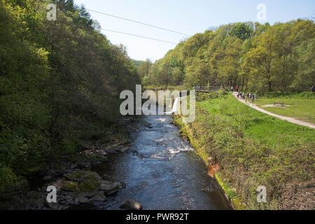 The River Etherow in spring at Etherow Country Park Compstall near ...