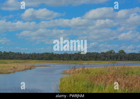 Guana River Wildlife Management Area in Florida Stock Photo - Alamy