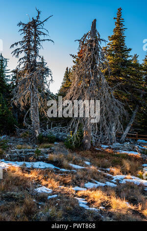 Autumn Scenery in Mount Spokane State Park, Spokane, Washington, USA ...