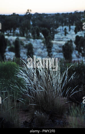 Yulara, Australien. 15th Apr, 2018. Impressive rock formation of the ...