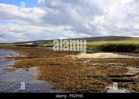 A typical landscape in the Orkney islands, Orkney, Scotland, Highlands ...