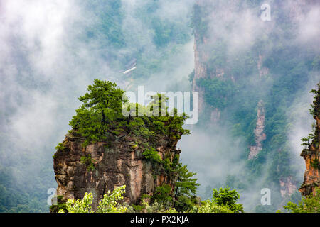 Early morning mist in the Tianzi Mountain Natural Reserve near ...