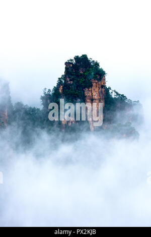 Early morning mist in the Tianzi Mountain Natural Reserve near ...