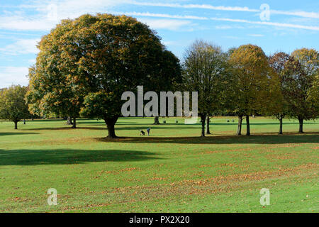 Autumn in Perth Scotland, 2018. The North Inch golf course Stock Photo ...