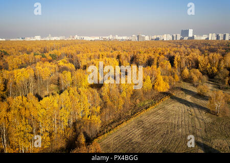Aerial view of Bitsevski Park (Bitsa Park) with trees in golden autumn ...