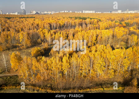Aerial view of Bitsevski Park (Bitsa Park) with trees in golden autumn ...