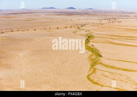 Namib Desert after rain Namibia Africa Stock Photo - Alamy