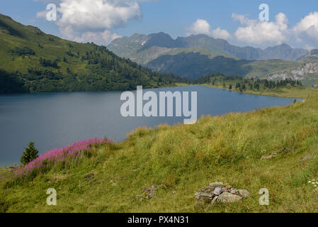 Lake Engstlensee over Engelberg on the Swiss alps Stock Photo - Alamy