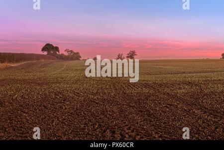 Dawn breaks across the fields with newly planted crops just beginning ...