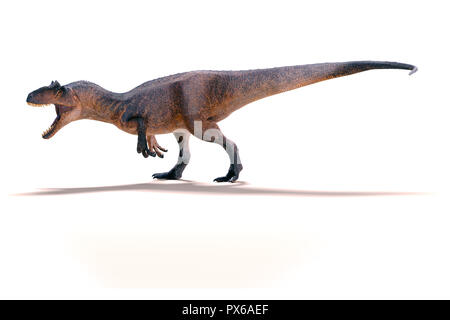3d Allosaurus render on white background Stock Photo - Alamy