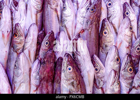 Fish stall in market Mallorca people shopping Palma de Mallorca, Santa ...