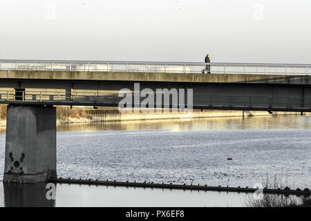 Vienna, river Danube, bridge, walker Stock Photo - Alamy