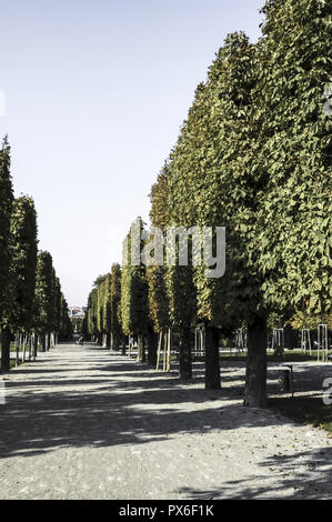 Augarten, park, green space, Austria, Vienna, 2. district Stock Photo ...
