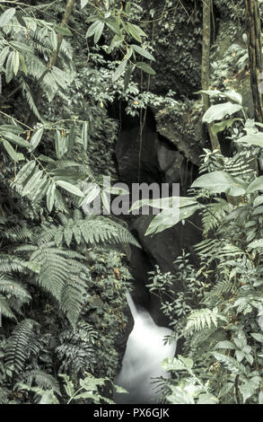 Titou Gorge, Dominica, Caribbean Stock Photo - Alamy