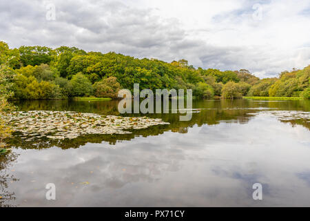 Eyeworth Pond near Fritham, in the New Forest National Park Stock Photo ...