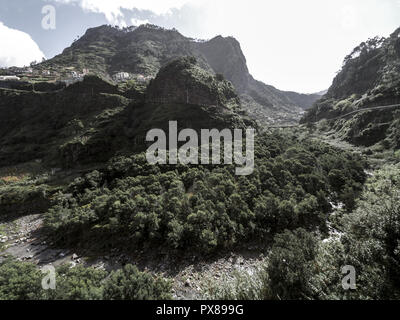 rank vegetation of Madeira, valley Stock Photo - Alamy