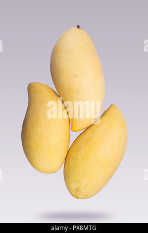 Nam Doc Mai, Mango isolated on white background Stock Photo - Alamy