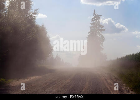 rural dusty road after a passing car transport, summer landscape in dry ...