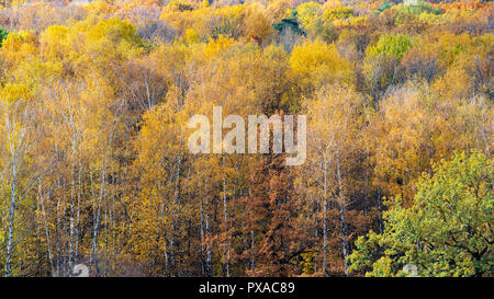 Sunny autumn day. Front view Stock Photo - Alamy