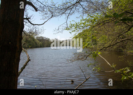 Reservoir on the River Etherow in spring at Etherow Country Park ...