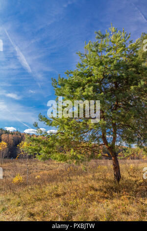 Ugra national Park. Reserve. Kaluga region. Russia Stock Photo - Alamy