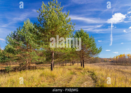 Ugra national Park. Reserve. Kaluga region. Russia Stock Photo - Alamy