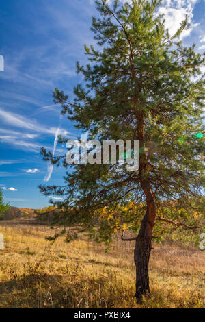 Ugra national Park. Reserve. Kaluga region. Russia Stock Photo - Alamy