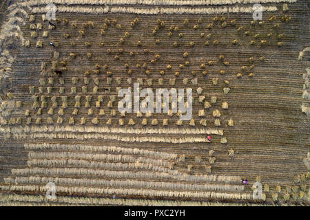Huai'An, China. 21st Oct 2018. Peasants deal with the recyclable straws ...