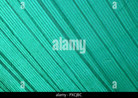 Closeup texture and detail of Saran filter Stock Photo - Alamy