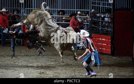 Rodeo fun for the whole family at the largest indoor agricultural fair ...