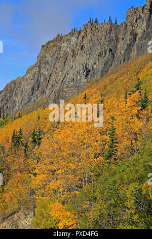 Autumn Fall colours along the Glenn Highway Alaska USA Stock Photo - Alamy