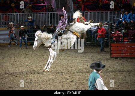 Rodeo fun for the whole family at the largest indoor agricultural fair ...