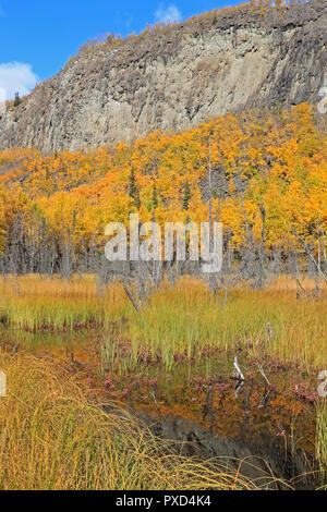 Autumn Fall colours along the Glenn Highway Alaska USA Stock Photo - Alamy