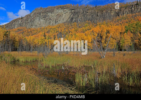 Autumn Fall colours along the Glenn Highway Alaska USA Stock Photo - Alamy