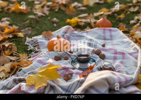 Outdoor picnic with tea, hazelnuts, walnuts, pumpkins and jam in jar ...