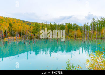 Blue pond (Aoiike) with reflection of tree in summer, located near ...
