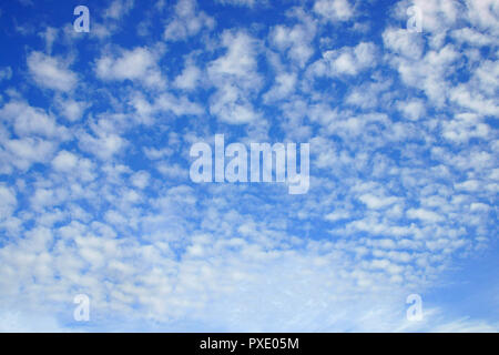Cirrocumulus clouds background Stock Photo - Alamy