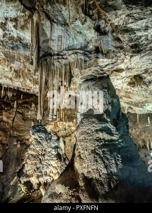 Stalactite of Punkva Caves, Czech Republic Stock Photo - Alamy