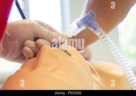Endotracheal intubation on a medical practice puppet Stock Photo - Alamy