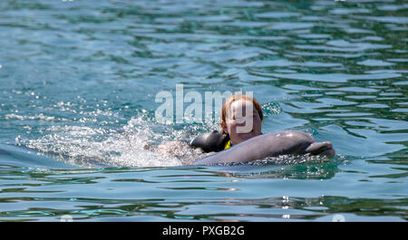 Emma Wingfield, 11, from Gosport, swims with a dolphin during the ...