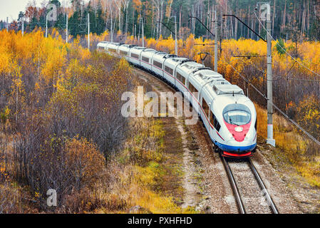 Modern high-speed train approaches to the station at autumn morning ...